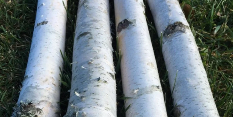 Chuppah pole basics and options | Sew Jewish