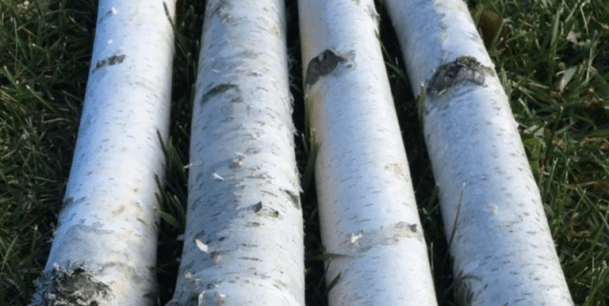 Chuppah pole basics and options | Sew Jewish